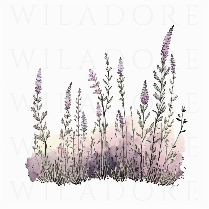 10 Watercolor Lavender Flower Border Art, Lavender Flowers, Floral ...
