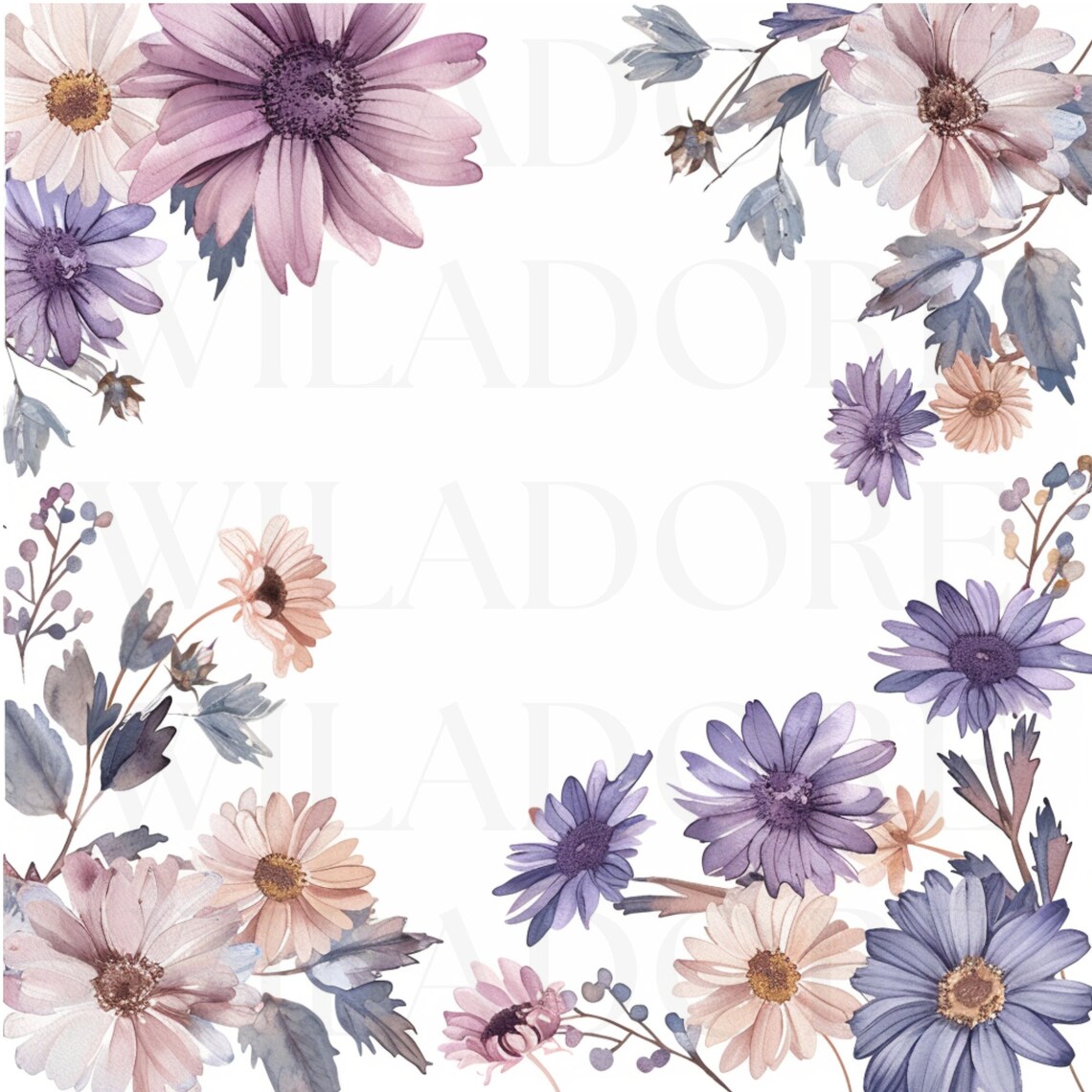 10 Watercolor Aster Flower Square Borders, Fall Autumn Flowers Clipart ...