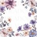 10 Watercolor Aster Flower Square Borders, Fall Autumn Flowers Clipart ...