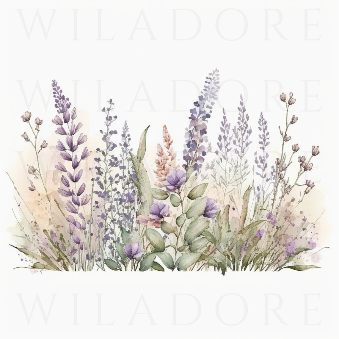10 Watercolor Lavender Flower Border Art, Lavender Flowers, Floral Clipart Borders, Wedding ...