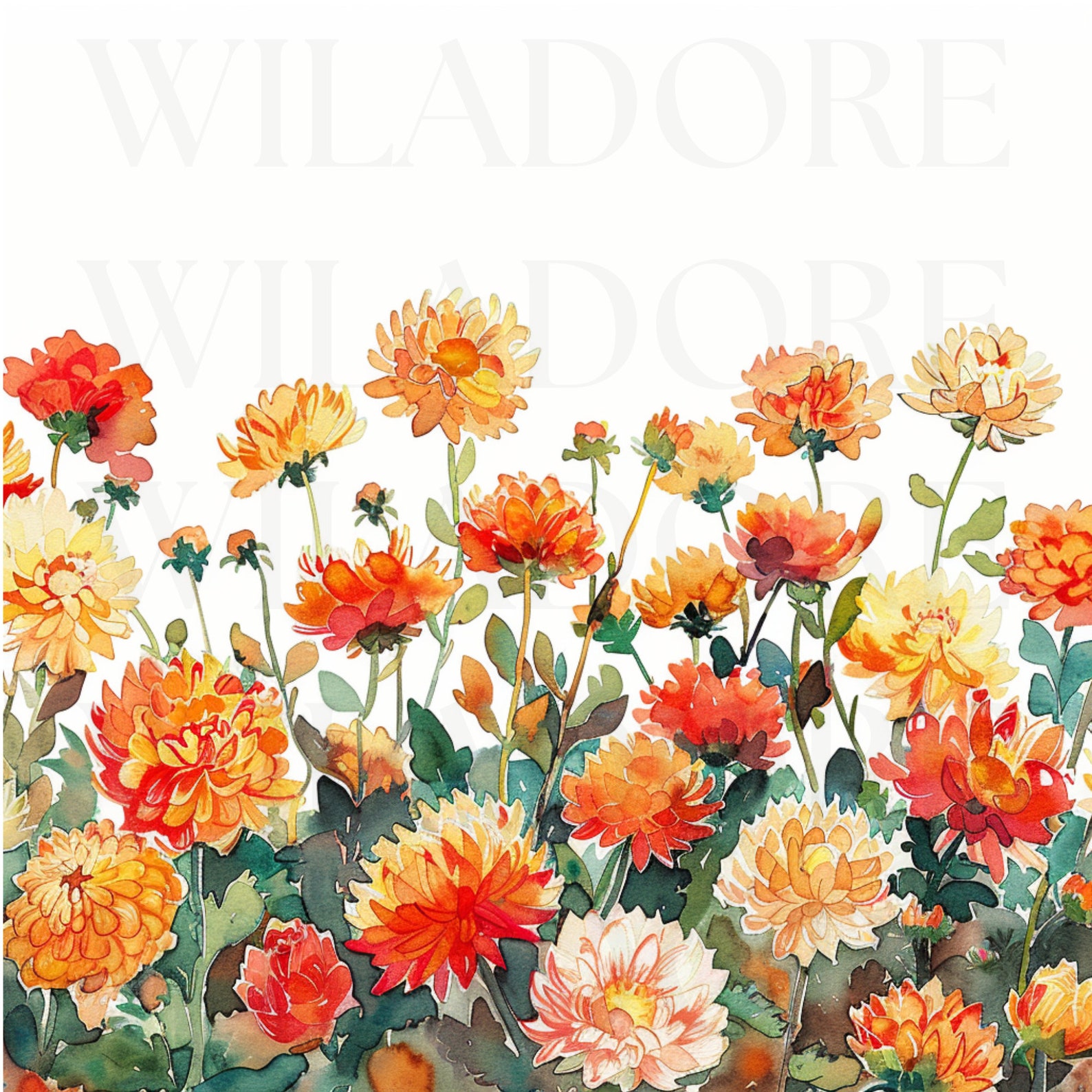 10 Watercolor Chrysanthemum Flower Meadow Borders, Fall Autumn Flowers ...