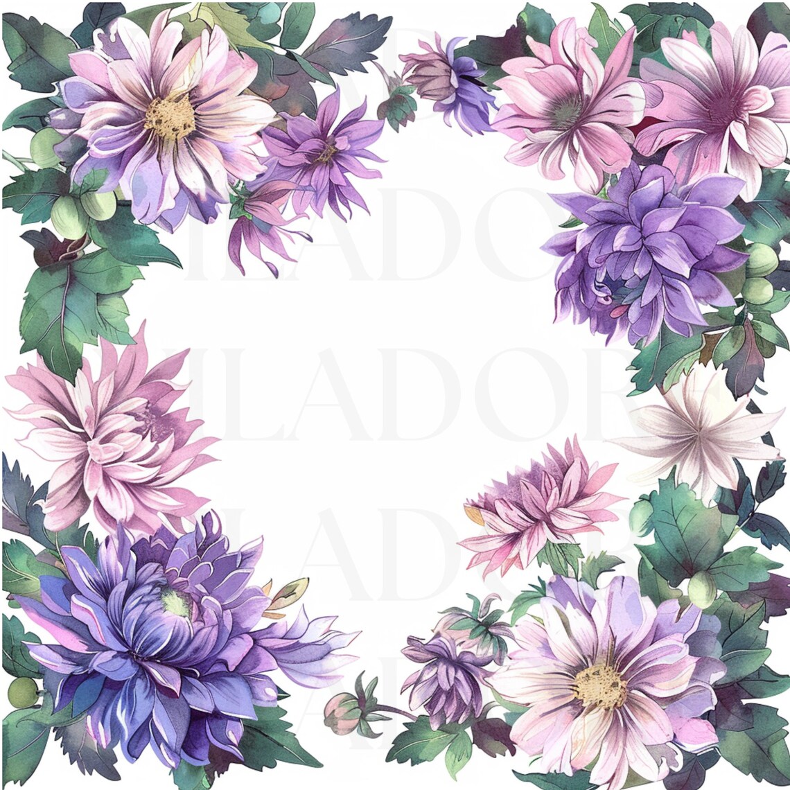 10 Watercolor Aster Flower Square Borders, Fall Autumn Flowers Clipart ...