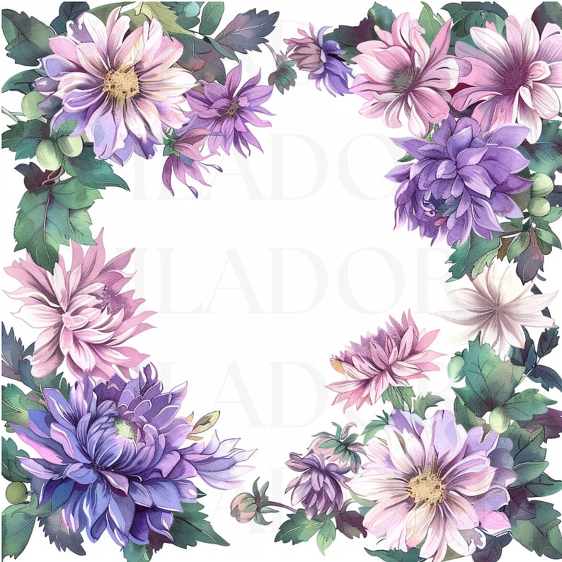 10 Watercolor Aster Flower Square Borders, Fall Autumn Flowers Clipart ...