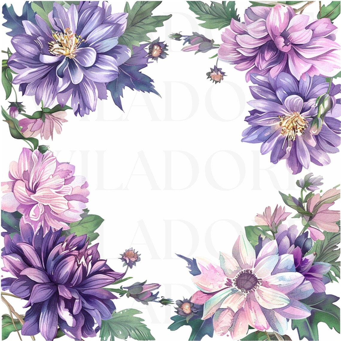 10 Watercolor Aster Flower Square Borders, Fall Autumn Flowers Clipart ...