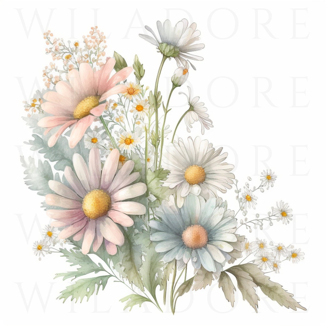 10 Watercolor Daisy Flower Border Art, Corner, Daisy Flowers, Floral ...