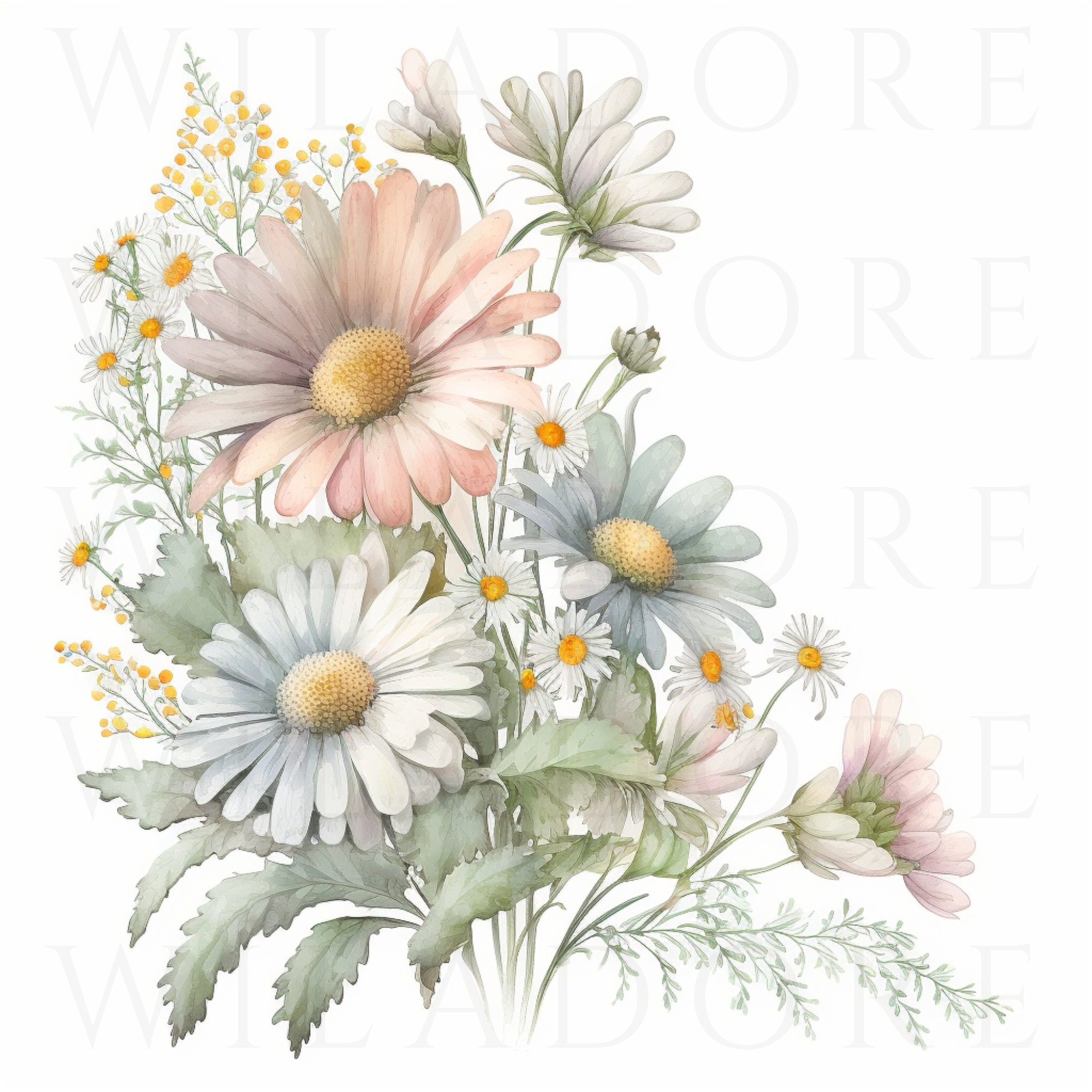 10 Watercolor Daisy Flower Border Art, Corner, Daisy Flowers, Floral ...