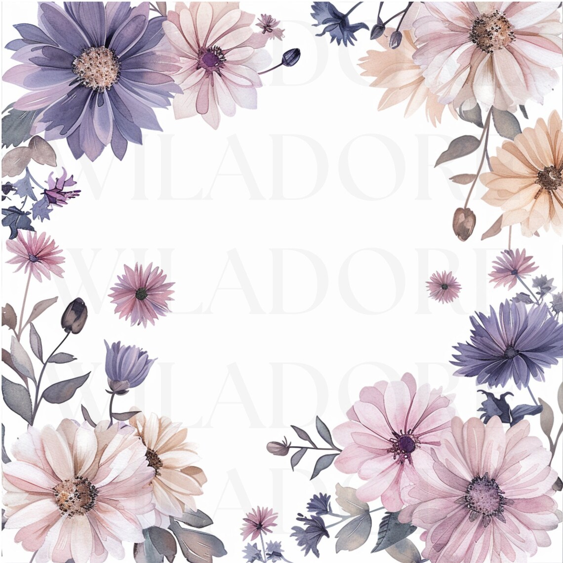 10 Watercolor Aster Flower Square Borders, Fall Autumn Flowers Clipart ...