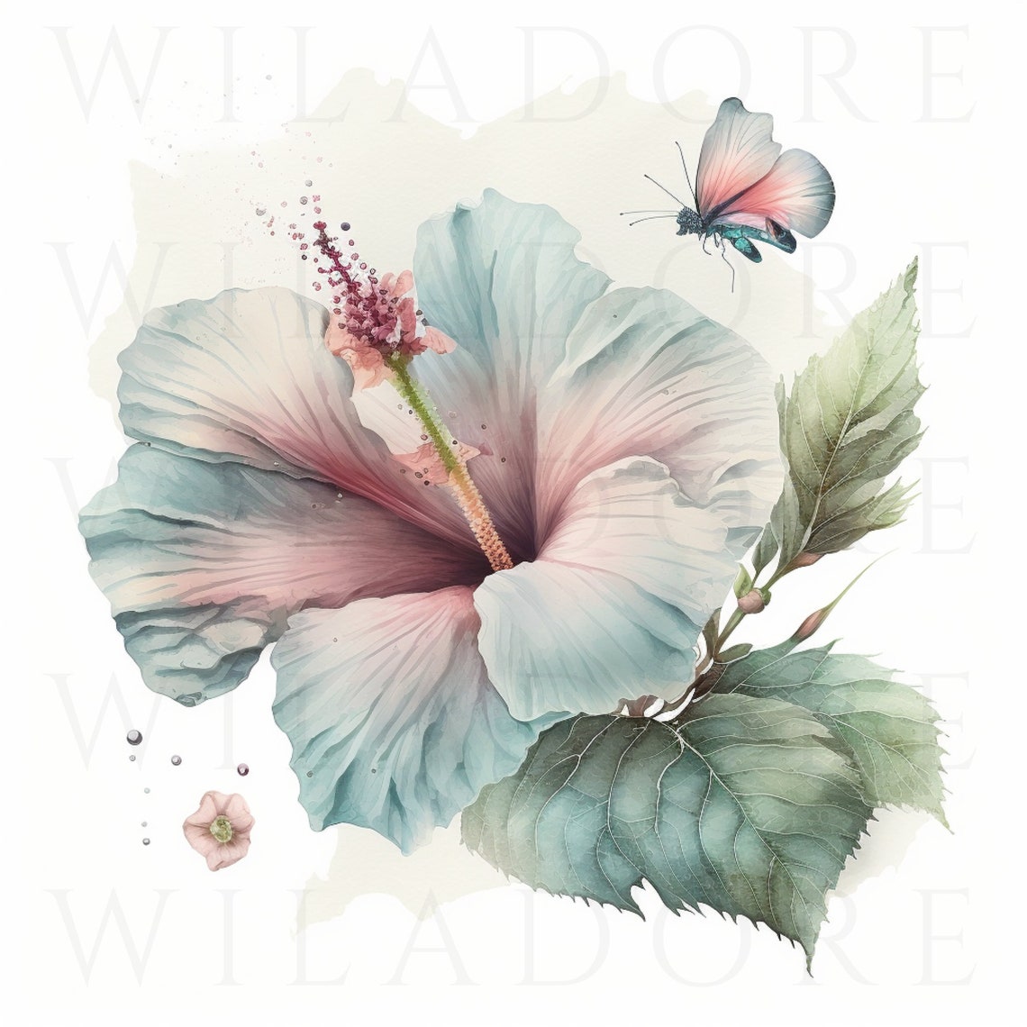 10 Watercolor Floral Clip Art, Hibiscus Flowers, Butterfly, Rain ...