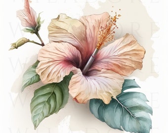 Watercolor Tropical Flowers Clipart , Hibiscus Clip Art , Exotic Flower ...