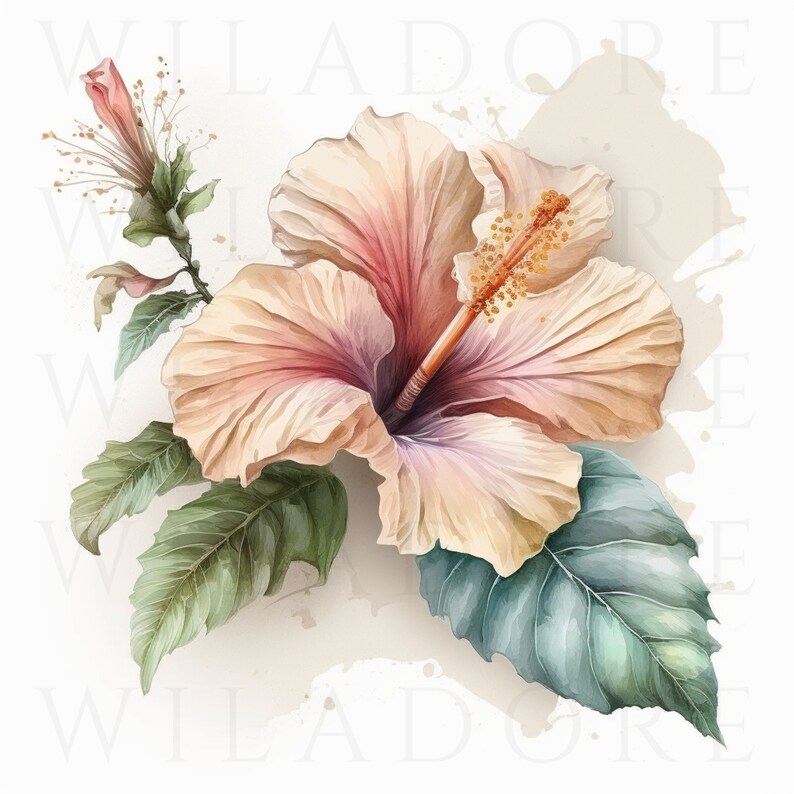 10 Watercolor Floral Clip Art, Hibiscus Flowers, Tropical, Flowers ...