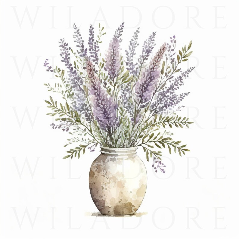 10 Watercolor Lavender Flower Art, Vase, Lavender Flowers, Floral ...