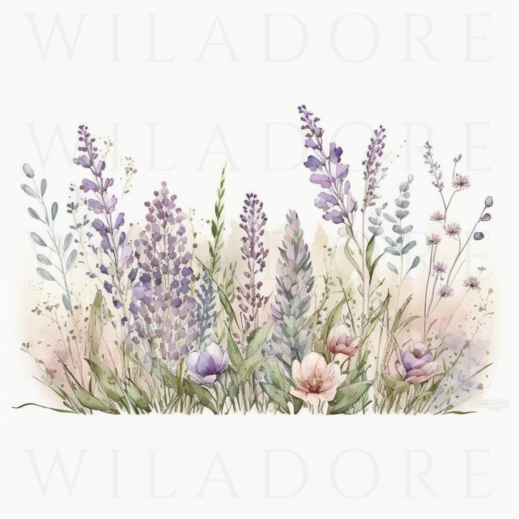 10 Watercolor Lavender Flower Border Art, Lavender Flowers, Floral ...