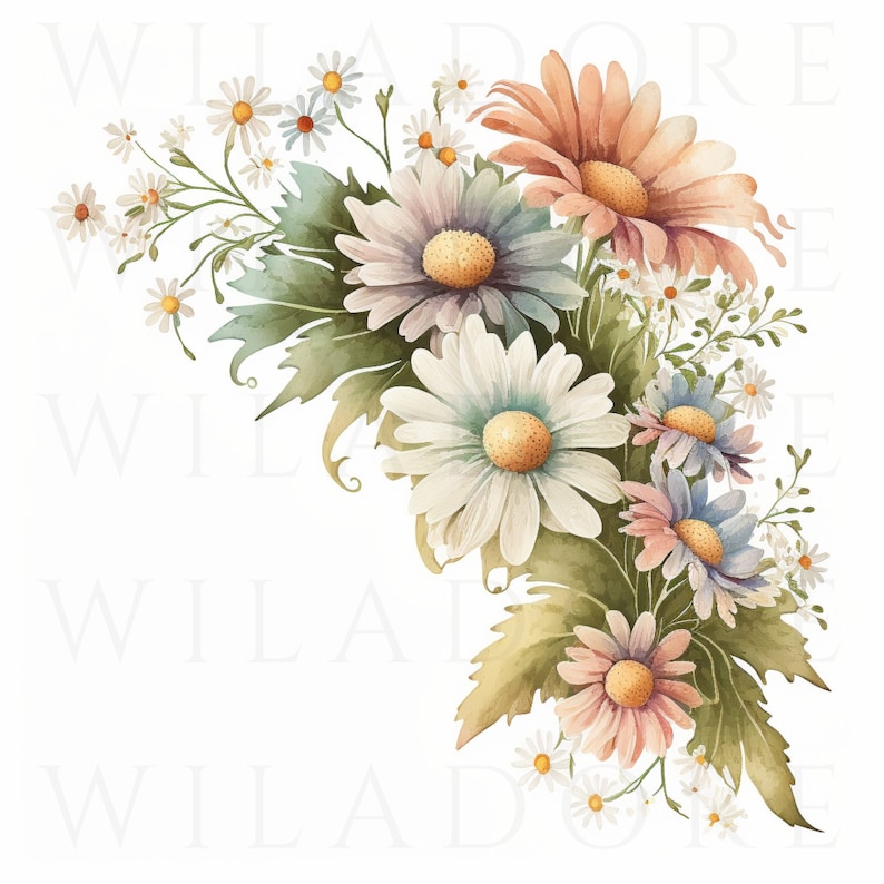 10 Watercolor Daisy Flower Border Art, Corner, Daisy Flowers, Floral ...