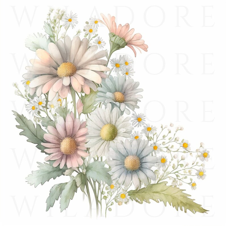 10 Watercolor Daisy Flower Border Art, Corner, Daisy Flowers, Floral ...