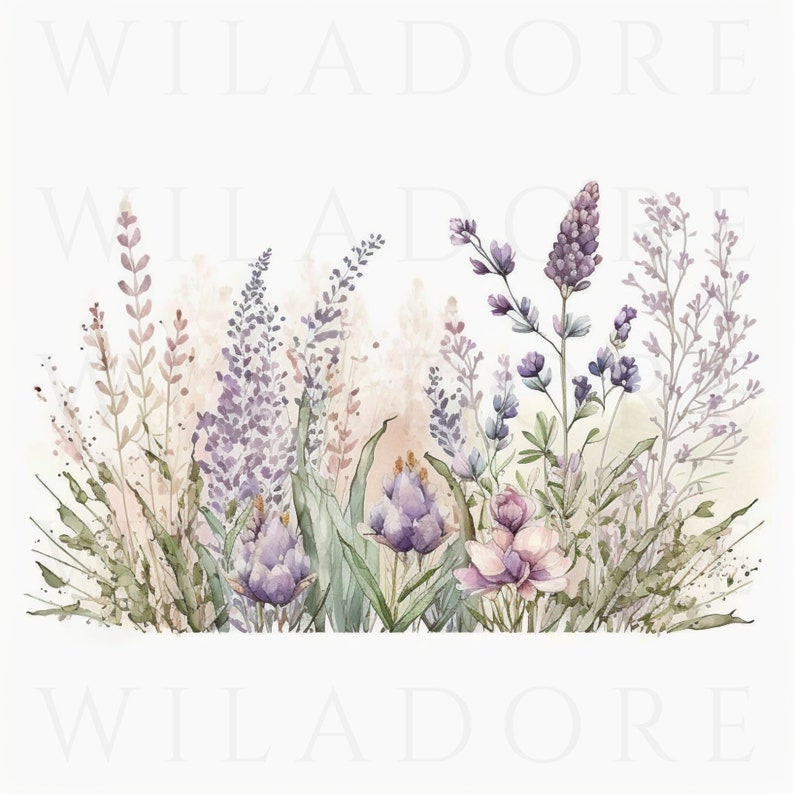 10 Watercolor Lavender Flower Border Art, Lavender Flowers, Floral ...