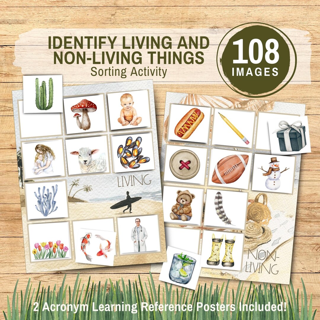 Identify Living & Nonliving Things Sorting Activity Picture Science ...