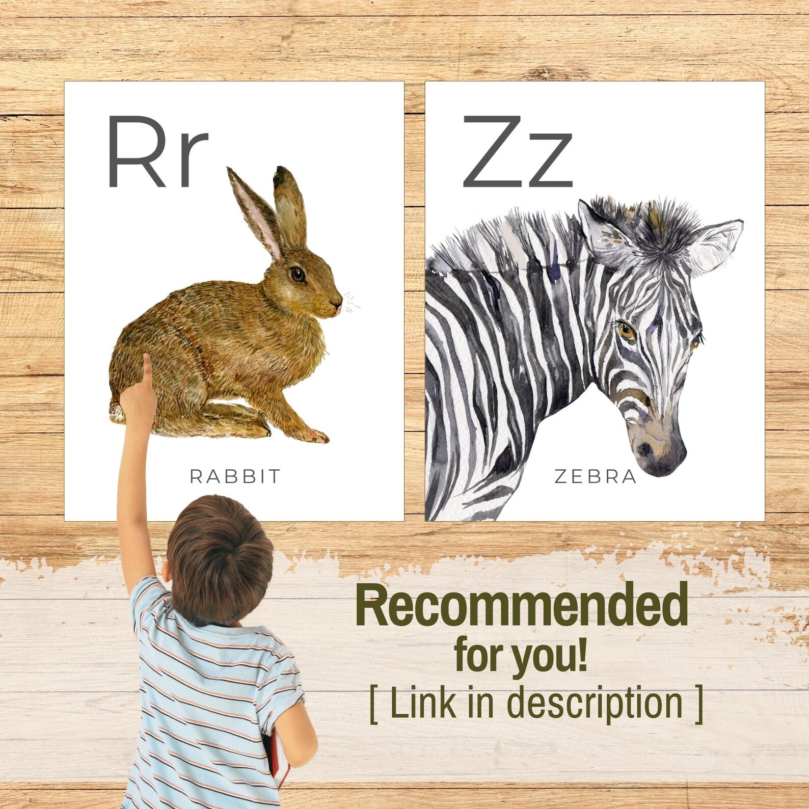 Letter & Number Recognition Activity, Alphabetical Numerical Order ...
