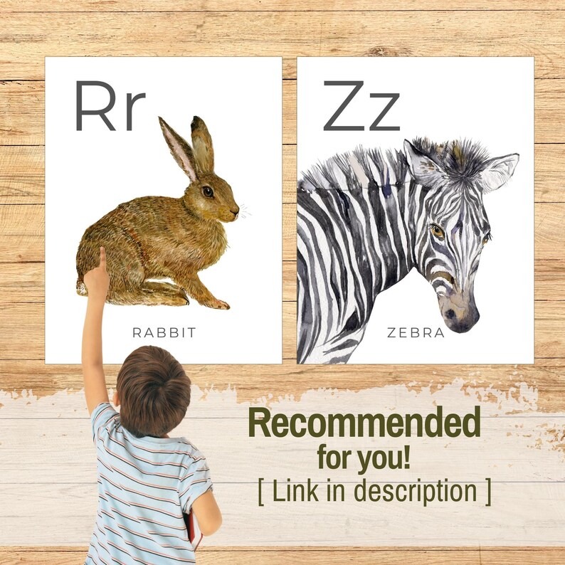 Letter & Number Recognition Activity, Alphabetical Numerical Order ...