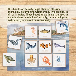 Air Land Water Activity Animal Sorting Game Printable Preschool ...