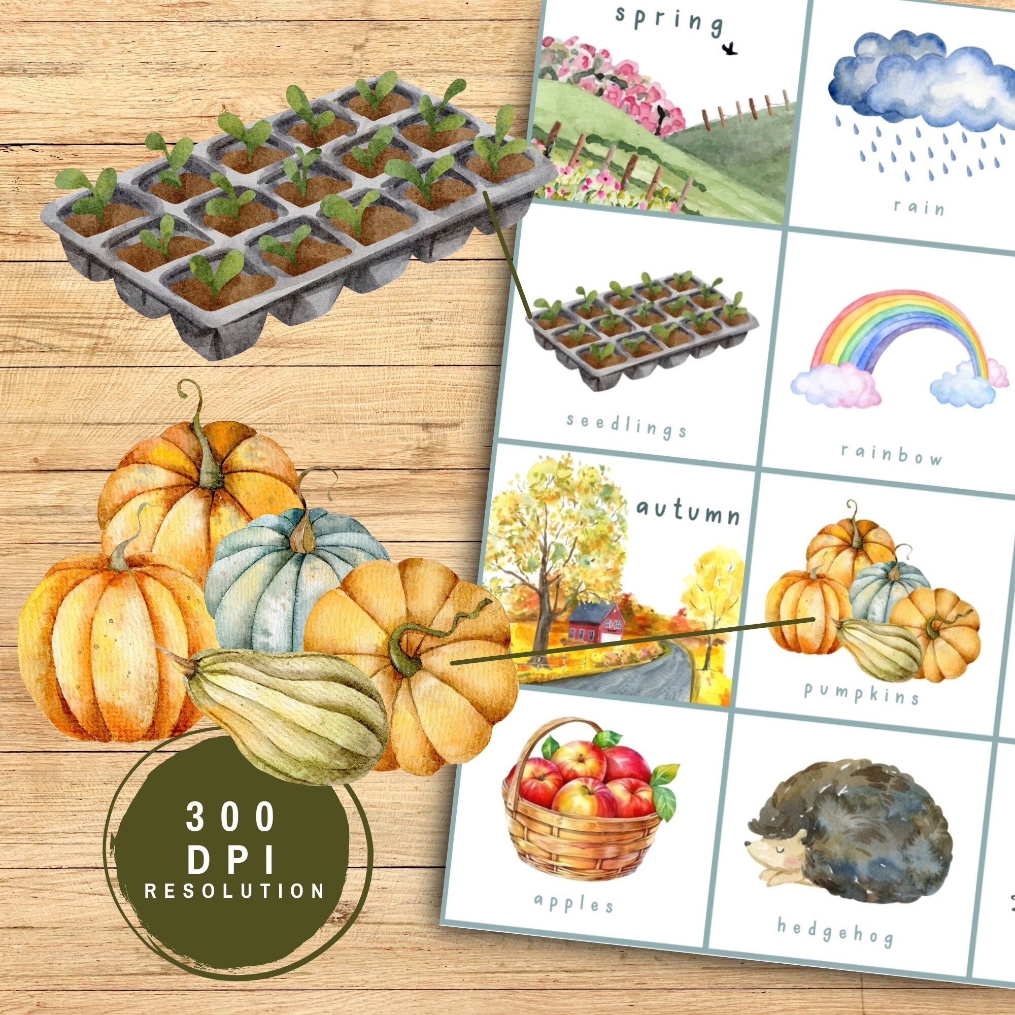 Seasons Cycle & Months of the Year Printable Activities, Homeschool ...