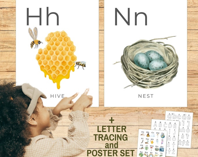 Nature Alphabet Posters | Preschool | School Notice Board | Alphabet ...