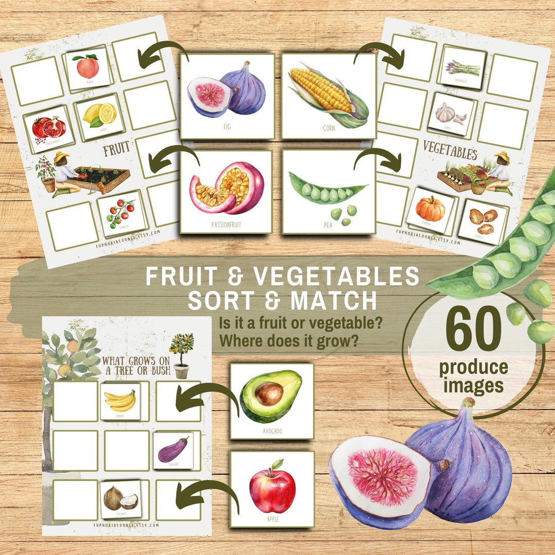 Where Do They Grow Sorting Mats is It a Fruit or Vegetable Sorting ...