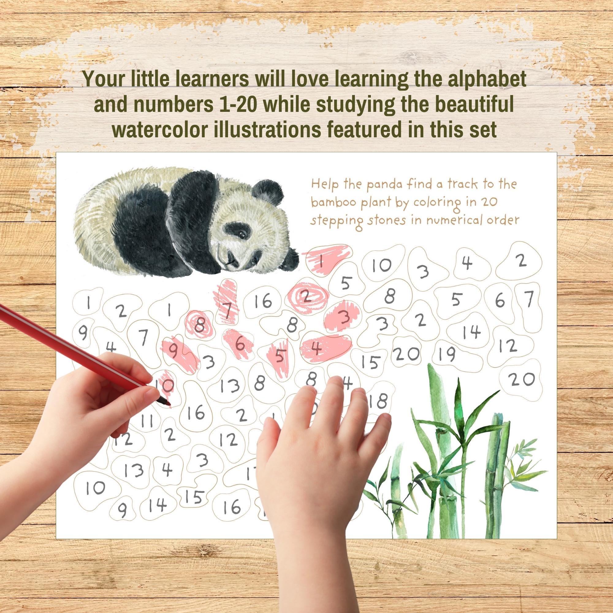 Letter Number Recognition Activity Printable Alphabetical Numerical ...