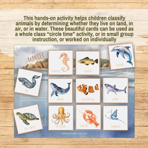 Air Land Water Activity Animal Sorting Game, Categorize Where Animals ...