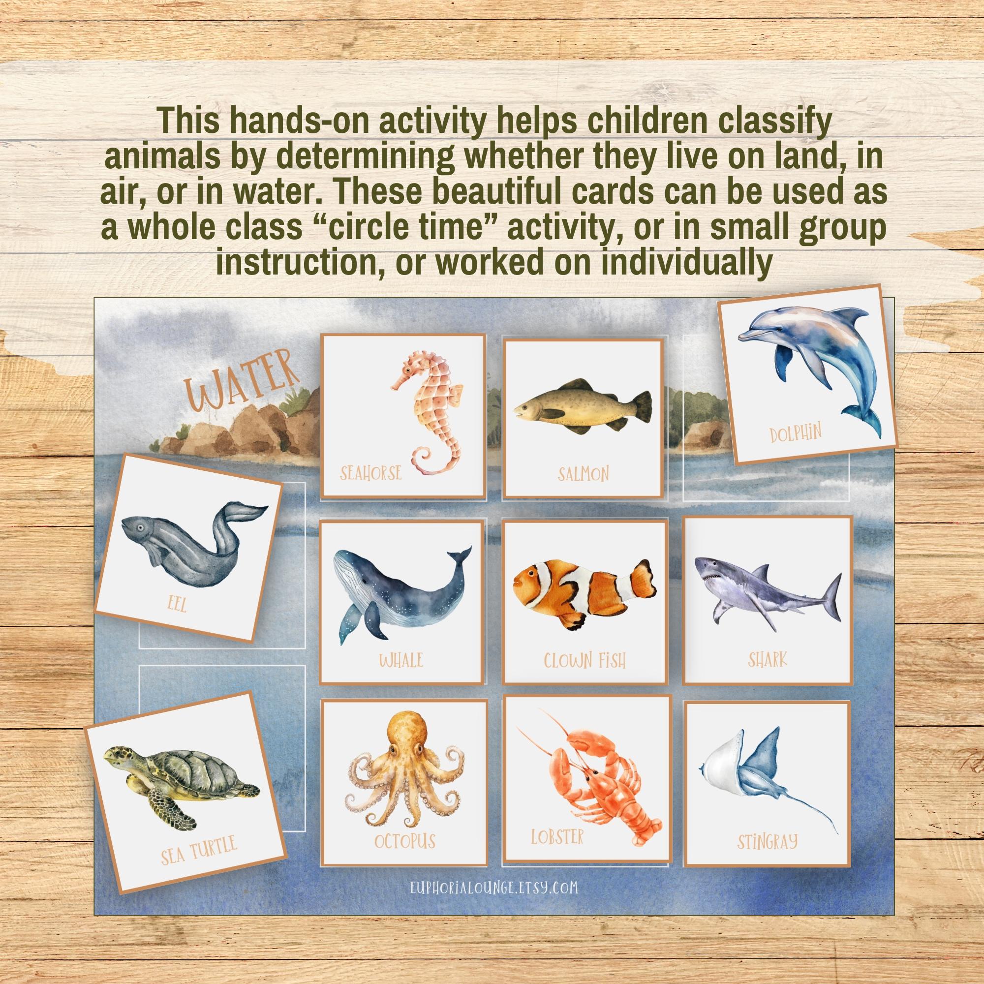 Air Land Water Activity Animal Sorting Game, Categorize Where Animals ...