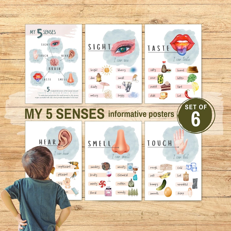 Five Senses Posters Educational Wall Art Printable Hear/touch/sight ...