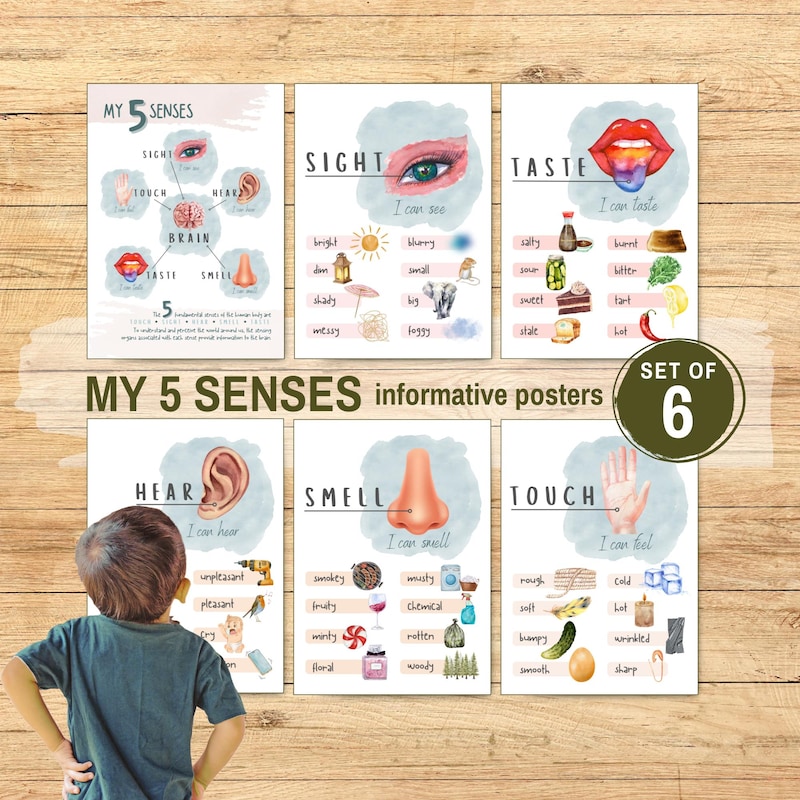Five Senses Poster - Etsy
