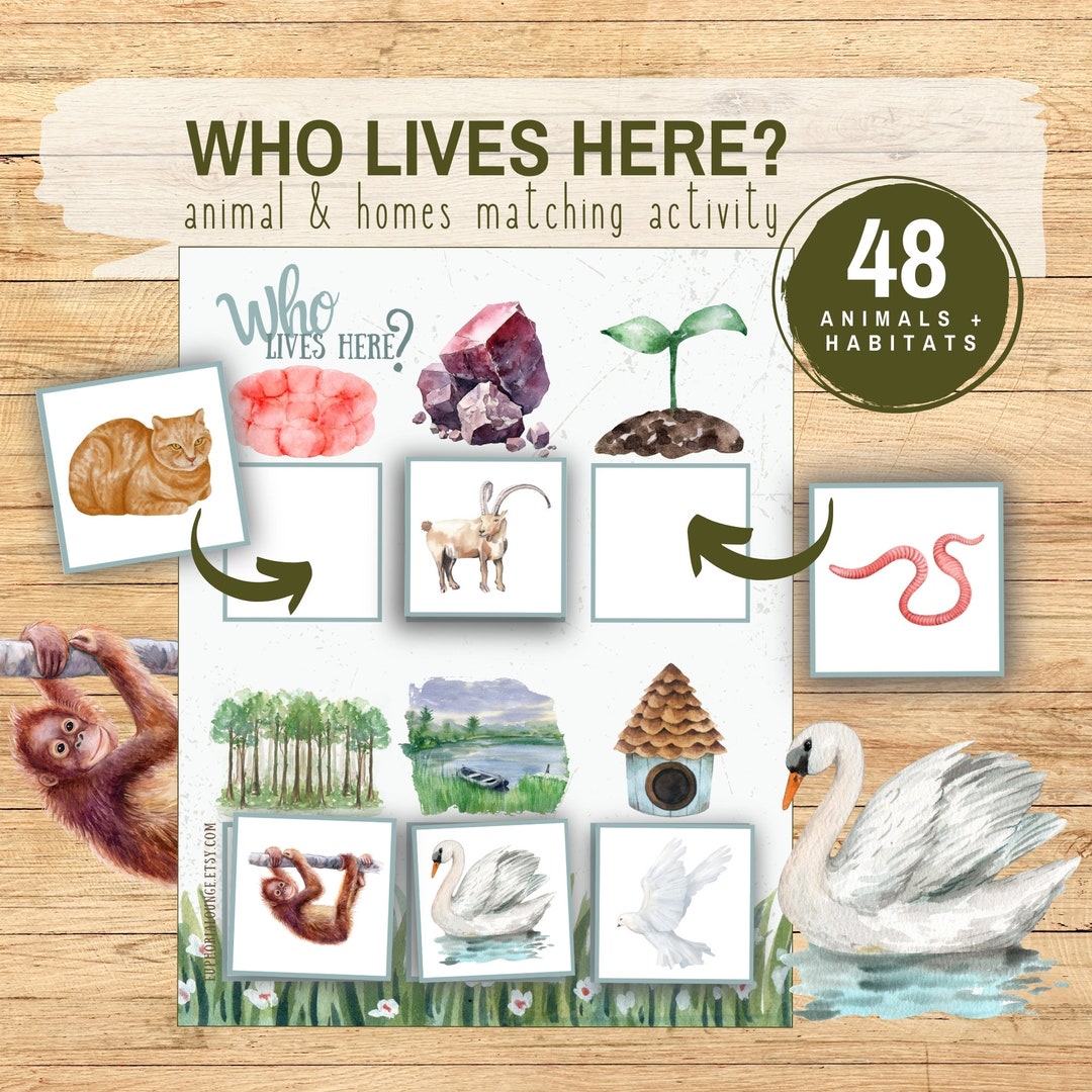 Who Lives Here Animals & Homes Printable Sorting Matching Activity ...