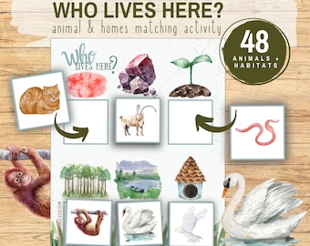 Animals and Homes Matching Activity, Who Lives Here Associations ...