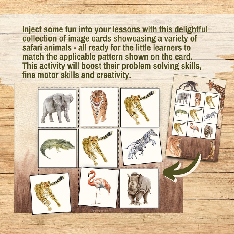Safari Life Pattern Activity Sorting Picture Card Montessori Resource ...