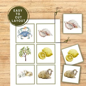 Preschool Matching Activity Printable, What Goes Together, Making ...