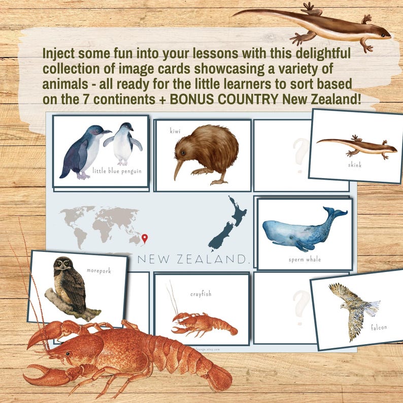 Animals of the Continents Activity Printable Animal Vocabulary Sorting Game Homeschool ...