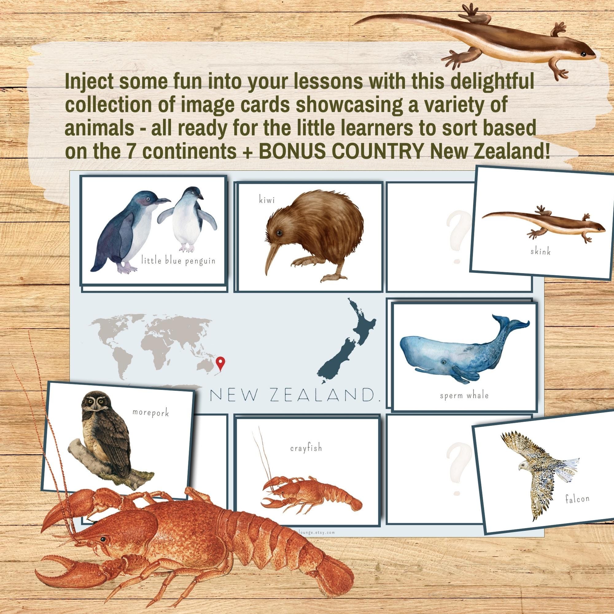 Animals of the Continents Activity Printable Animal Vocabulary Sorting Game Homeschool ...