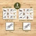 Safari Life Pattern Activity Sorting Picture Card Montessori Resource ...