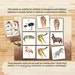 Safari Life Pattern Activity Sorting Picture Cards, Copy the Sequence ...