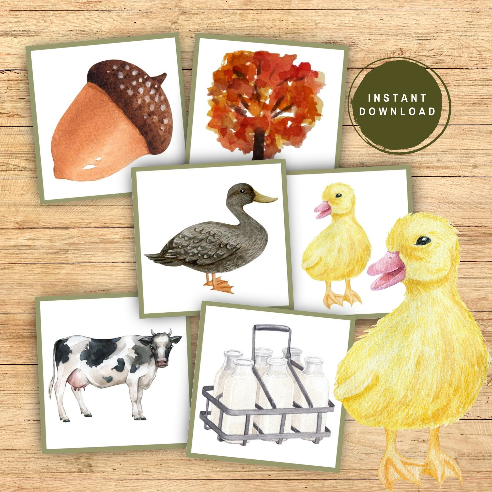 Preschool Matching Activity Printable, What Goes Together, Making ...