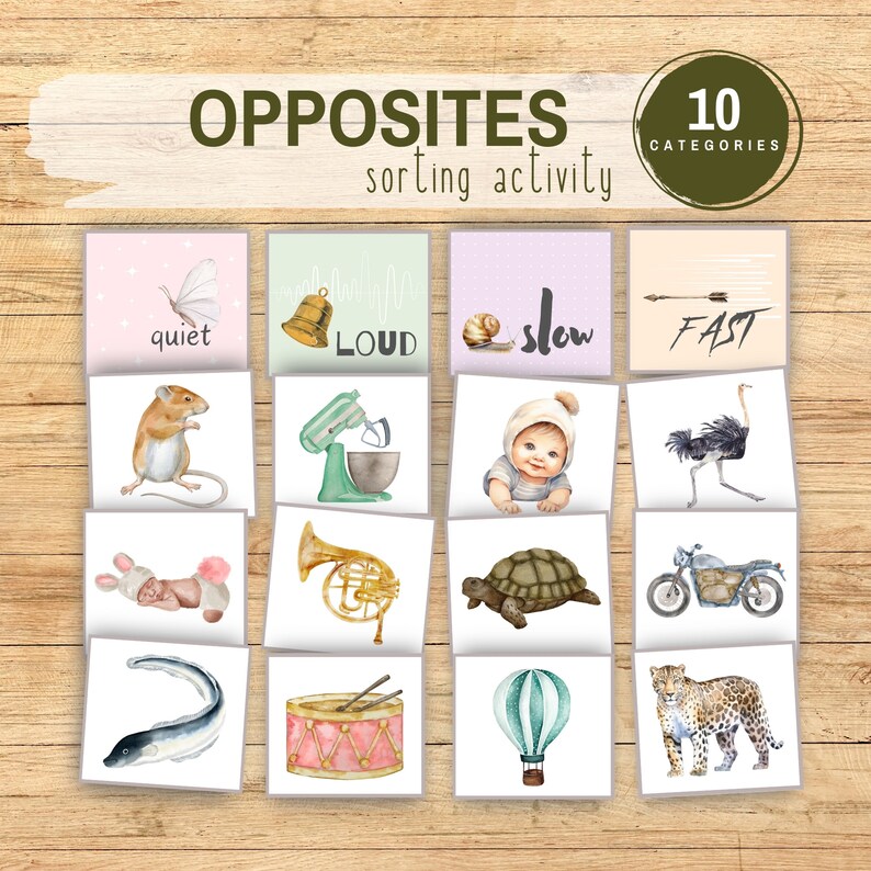 Opposites Sorting Printable Flashcards, Child Development Game ...