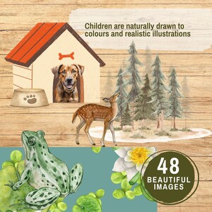 Who Lives Here Animals & Homes Printable Sorting Matching Activity ...