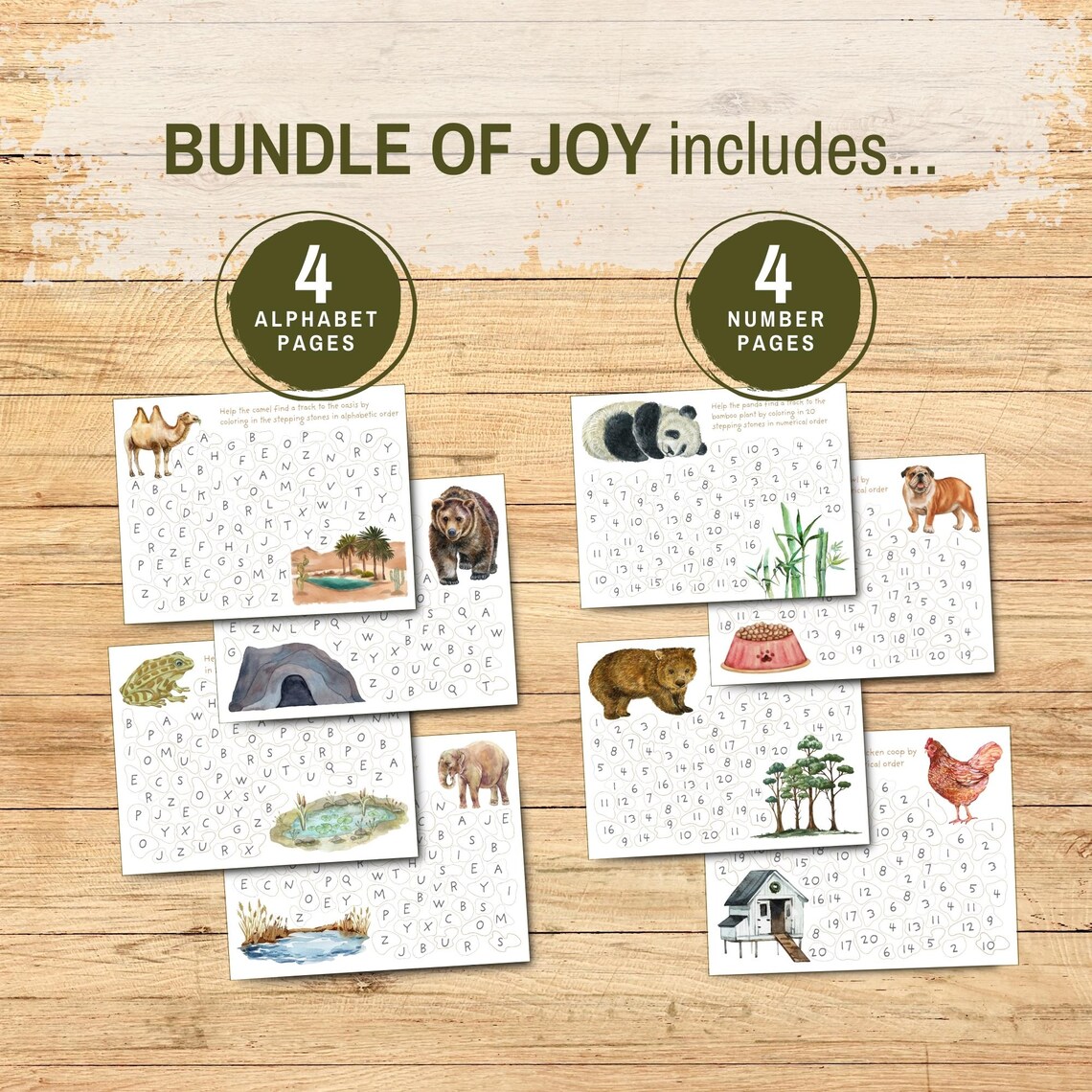 Letter & Number Recognition Activity, Alphabetical Numerical Order ...