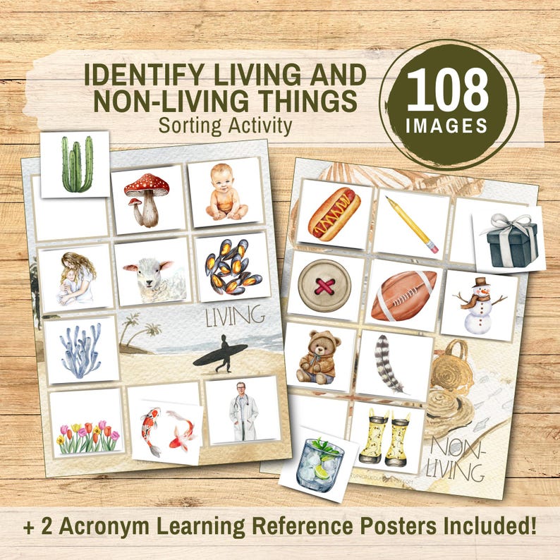 Identify Living & Non-living Things Sorting Activity, Picture Science ...