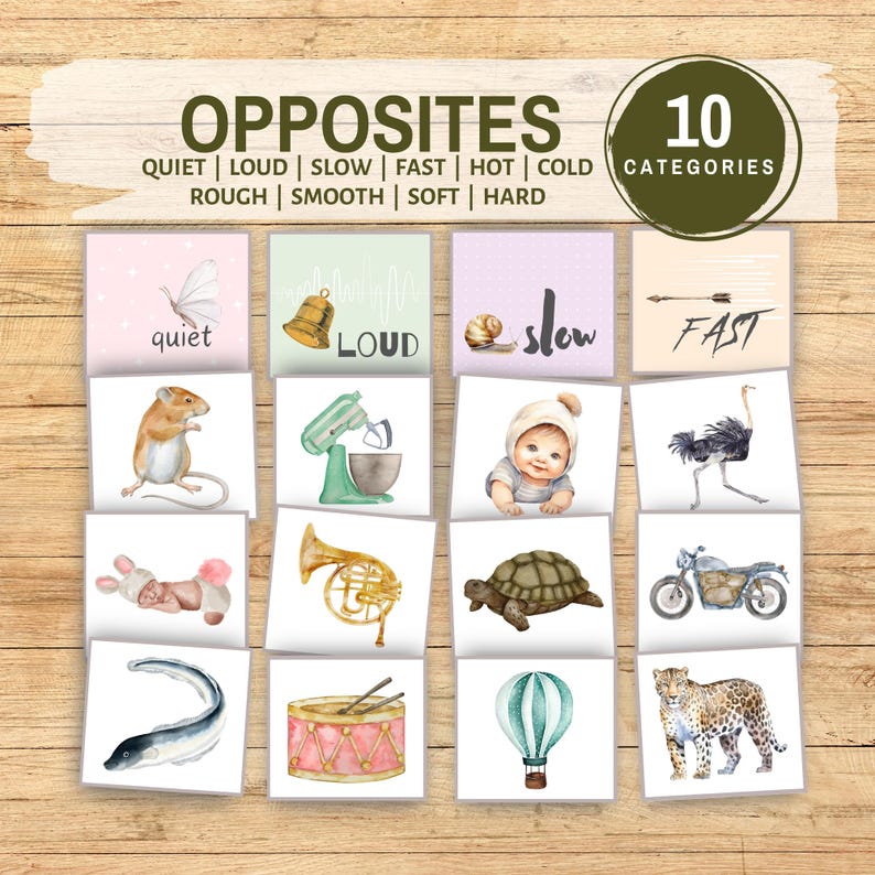 Opposites Sorting Printable Flashcards, Child Development Game ...