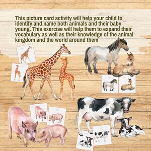 Mommy & Baby Animal Matching Activity Printable Animal Vocabulary ...