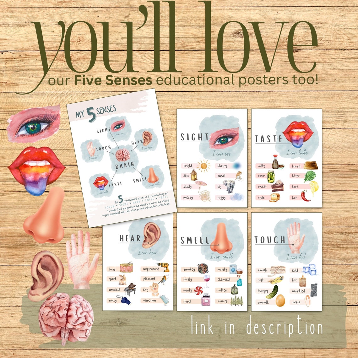Five Senses Sorting Activity Printable, Kids Printable Game, Hear/touch ...