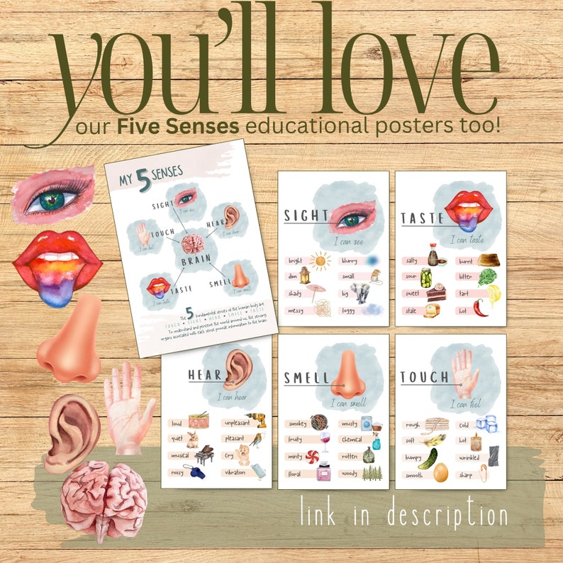 Five Senses Sorting Activity Printable, Kids Printable Game, Hear/touch ...