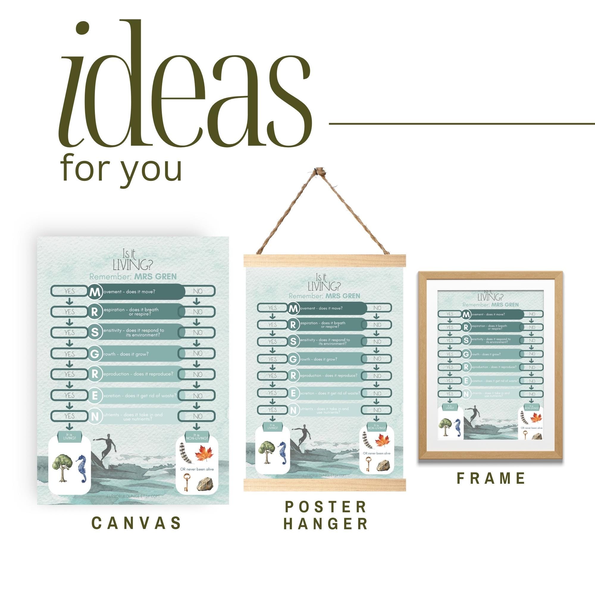 Identify Living & Non-living Things Sorting Activity, Picture Science ...