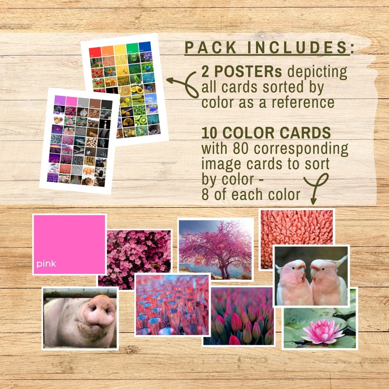 Color Sorting Printable Cards the World We Live In, the BIG Colours in ...